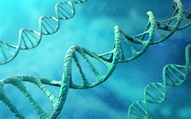 The Genetics of Intelligence - NeuroLogica Blog