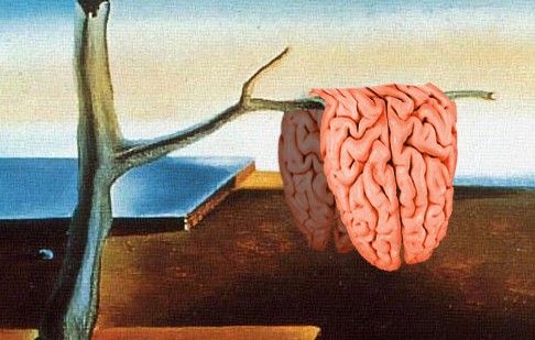 Consistency Bias - NeuroLogica Blog
