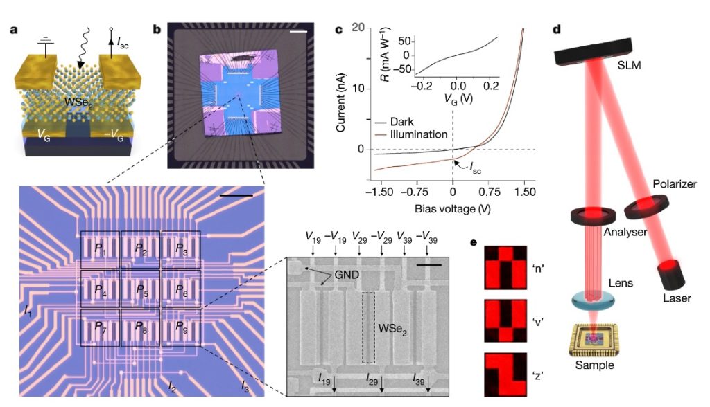 Using Neural Networks for Image Sensing - NeuroLogica Blog