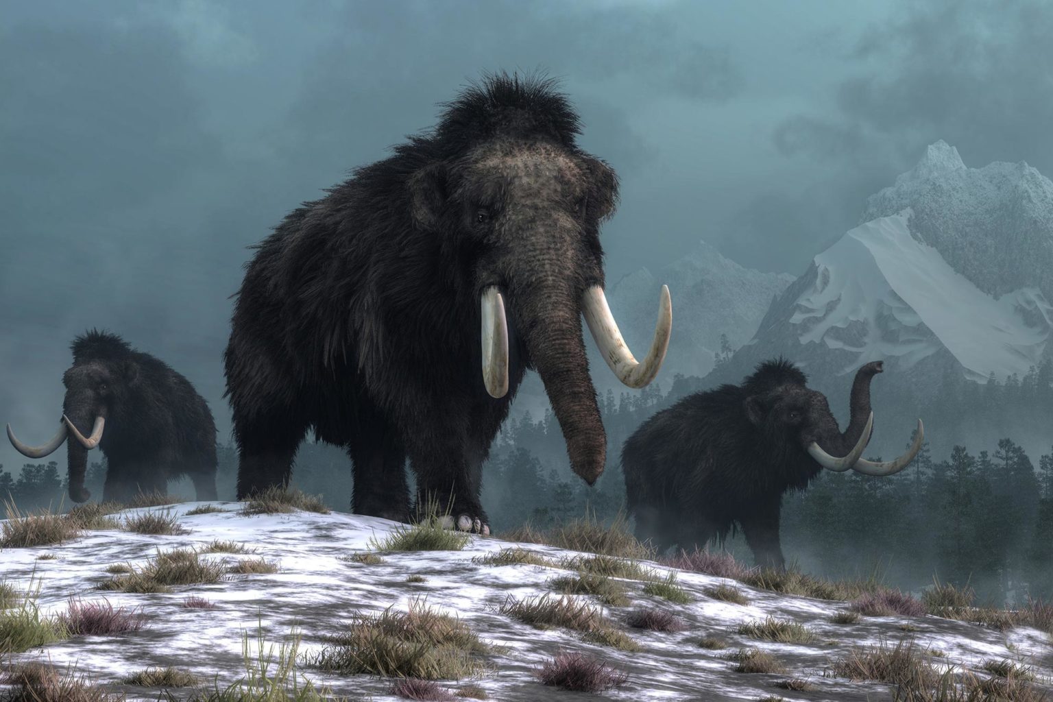DNA Microfossils and the Woolly Mammoth - NeuroLogica Blog