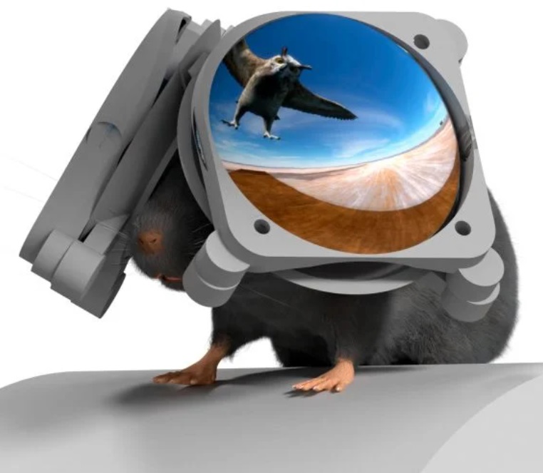 Virtual Reality for Mice - NeuroLogica Blog