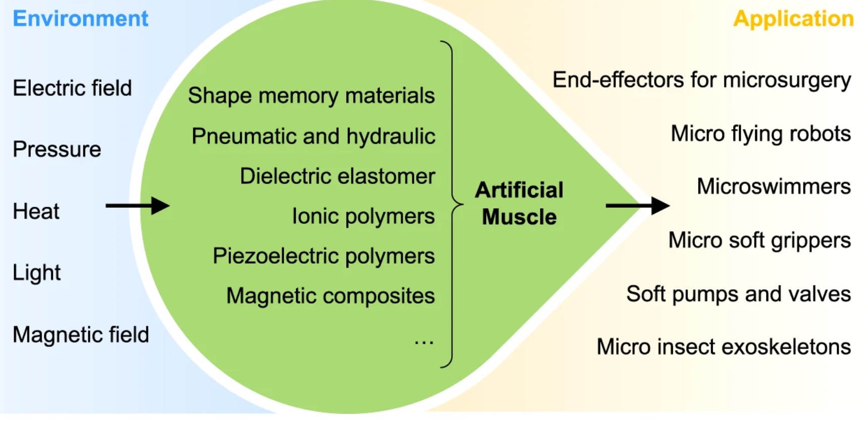 Artificial Robotic Muscles - NeuroLogica Blog