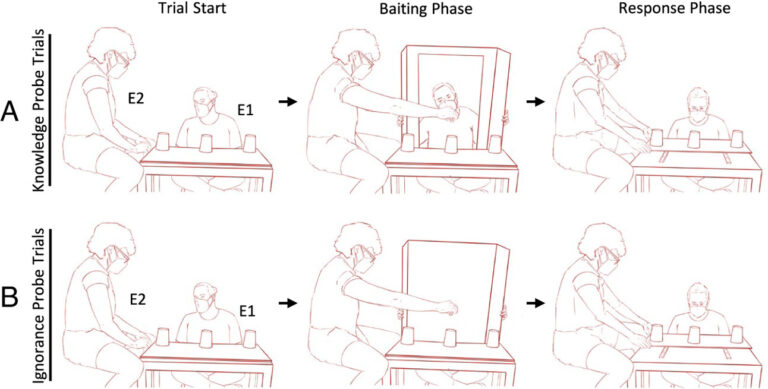 NeuroLogica Blog - Your Daily Fix of Neuroscience, Skepticism, and ...