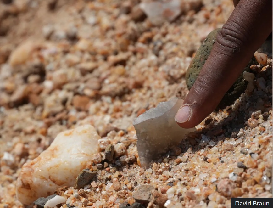 Human Tool Use Earlier Than We Thought - NeuroLogica Blog